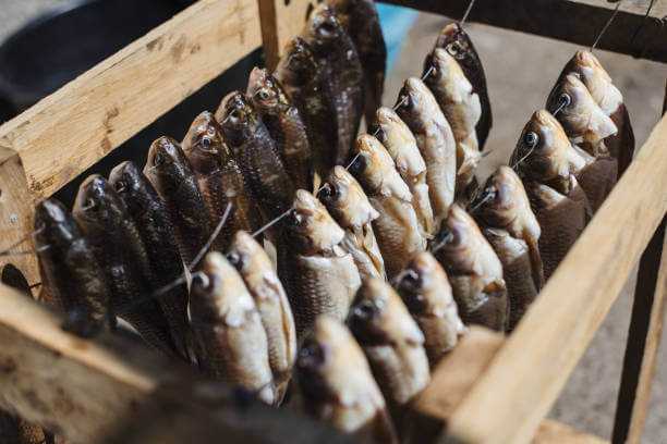 All You Need to Know About Stock Fish – Niyis Afro Caribbean Cuisines ...